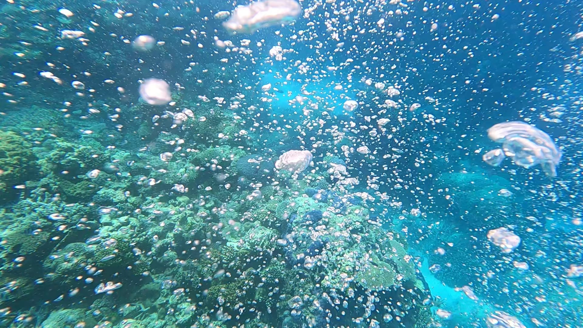 12 Tips to Conserve Air Scuba Diving – Empty Nest Diver