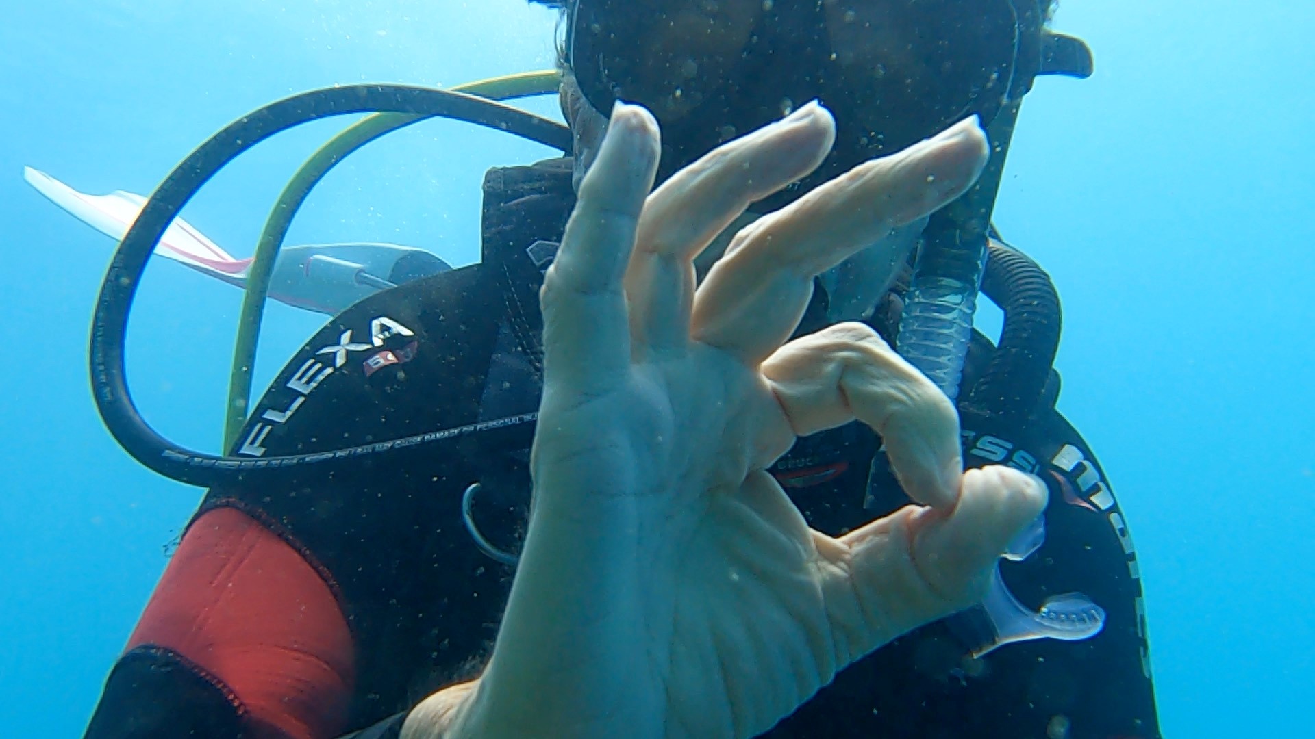 11 Tips to equalize your ears when scuba diving – Empty Nest Diver