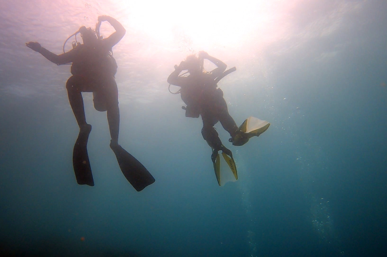 5 Steps for a Controlled Descent – Empty Nest Diver