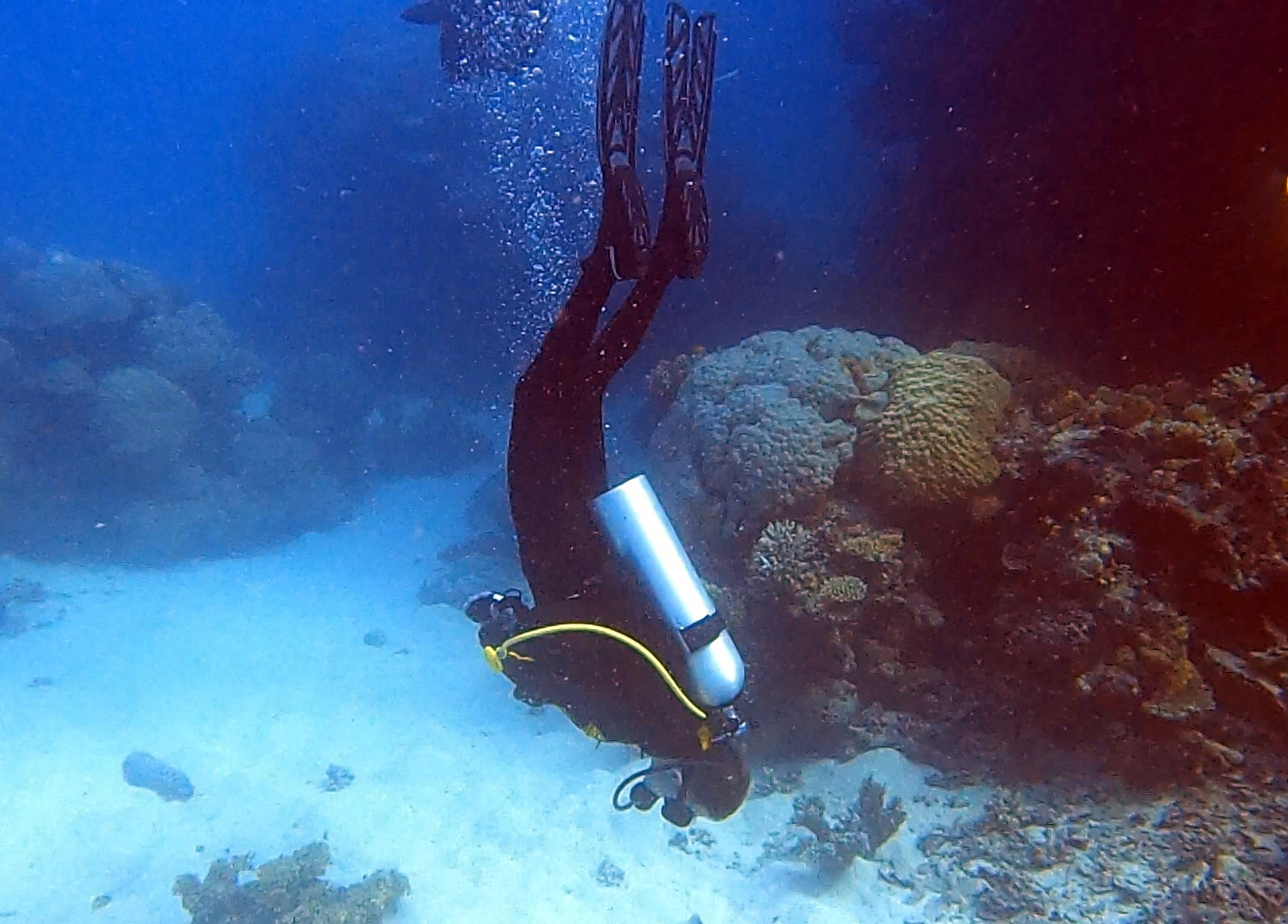 Scuba Diving Buoyancy Control Tips – A Scuba Woman