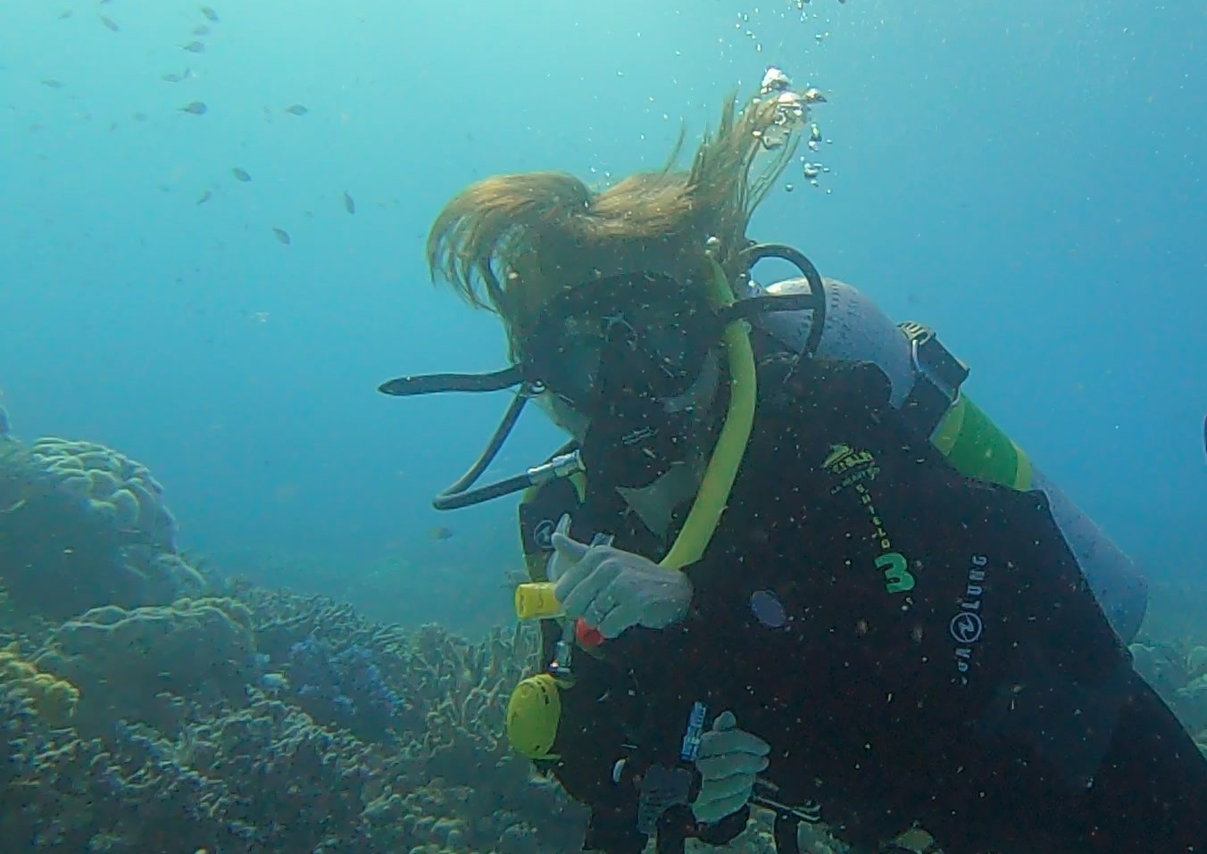 A Scuba Woman-How to Improve Dive Hair for Women Scuba Diving (easy ...