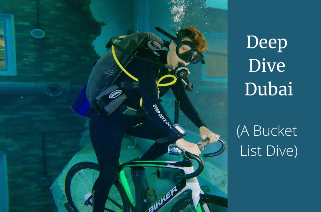 Deepest Pool – Deep Dive Dubai Everything You Need to Know – Empty Nest ...