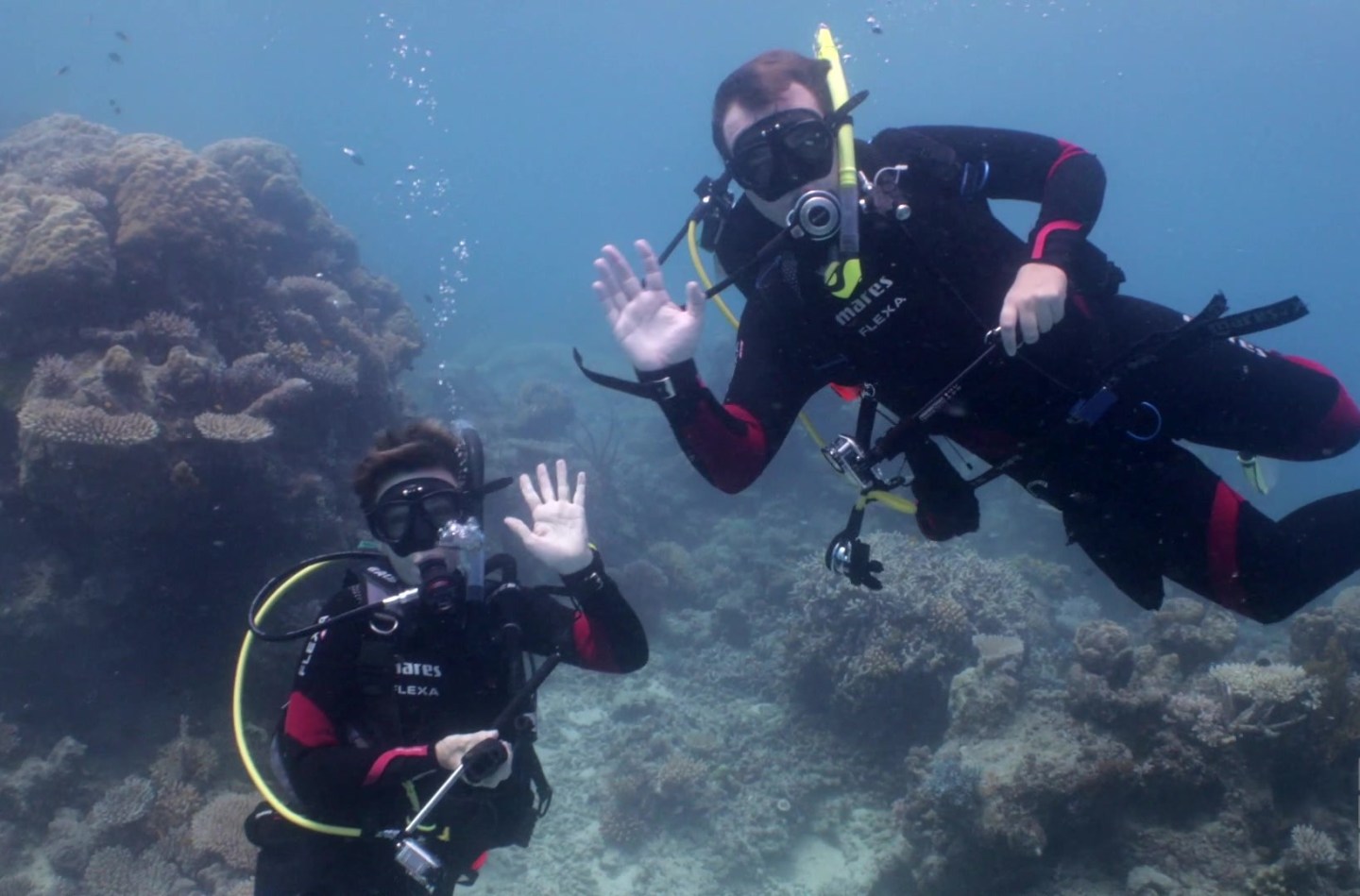 8 Good Reasons to Learn to Scuba Dive After 50 – Empty Nest Diver