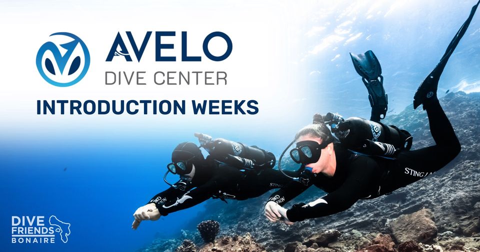 Avelo! Improve your Scuba Diving Experience plus Dive in Bonaire – Empty Nest Diver