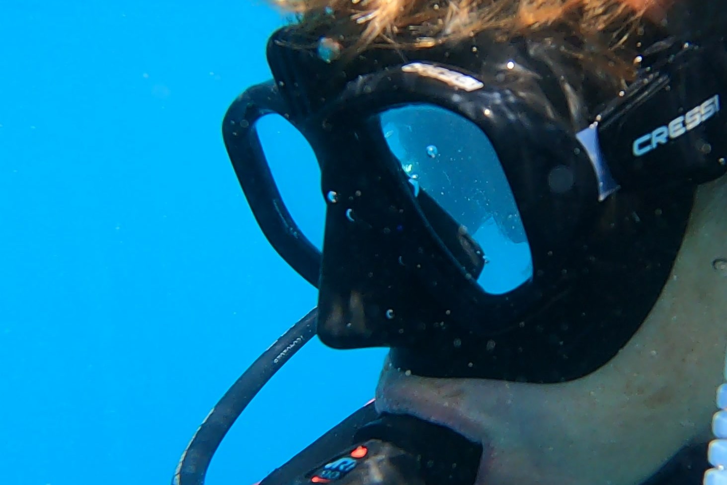 11 Best Scuba Diving Tips for Nervous Divers – Become a Confident Scuba ...