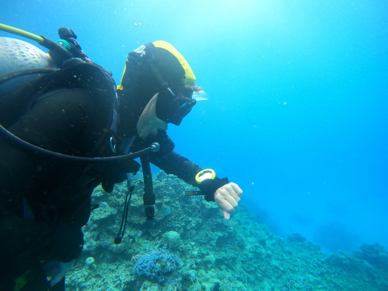 10 Essential Safety Rules to Become a Confident Scuba Diver – Empty ...