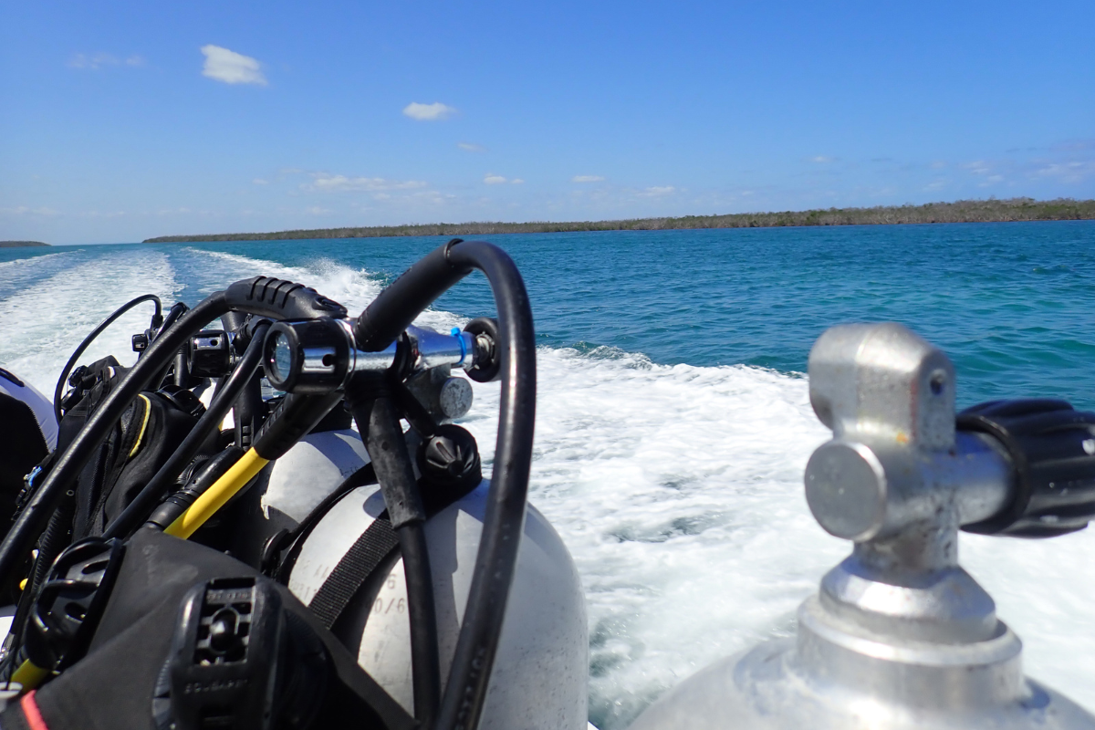 How To Master Scuba Safety: 15 Rules You Need To Know – Empty Nest Diver