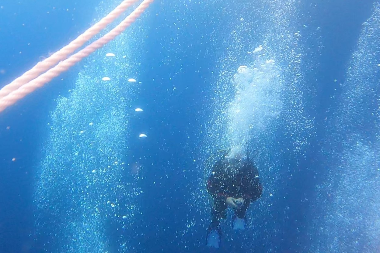 How To Master Scuba Safety: 15 Rules You Need To Know – Empty Nest Diver